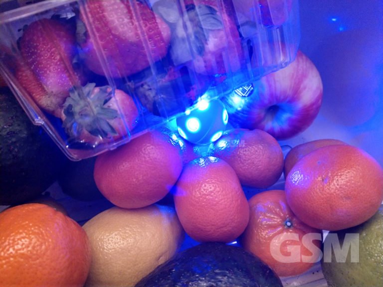 Orb Antimicrobial UV Light Ball Review: Does it really work?