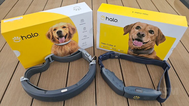Halo Collar 3 vs Halo Collar 4: What's Better on 4?
