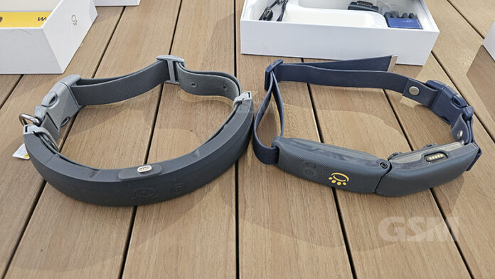 Halo Collar 3 vs Halo Collar 4: What's Better on 4?