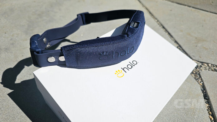 Halo Collar 3 vs Halo Collar 4: What's Better on 4?