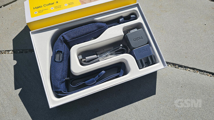 Halo Collar 3 vs Halo Collar 4: What's Better on 4?